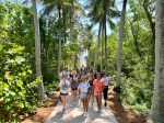 Miami: Timeline – Bailly Lectures
